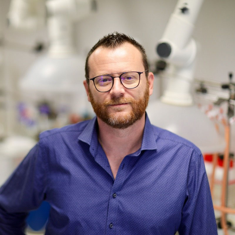 Conseil de l'Institut - IMREDD